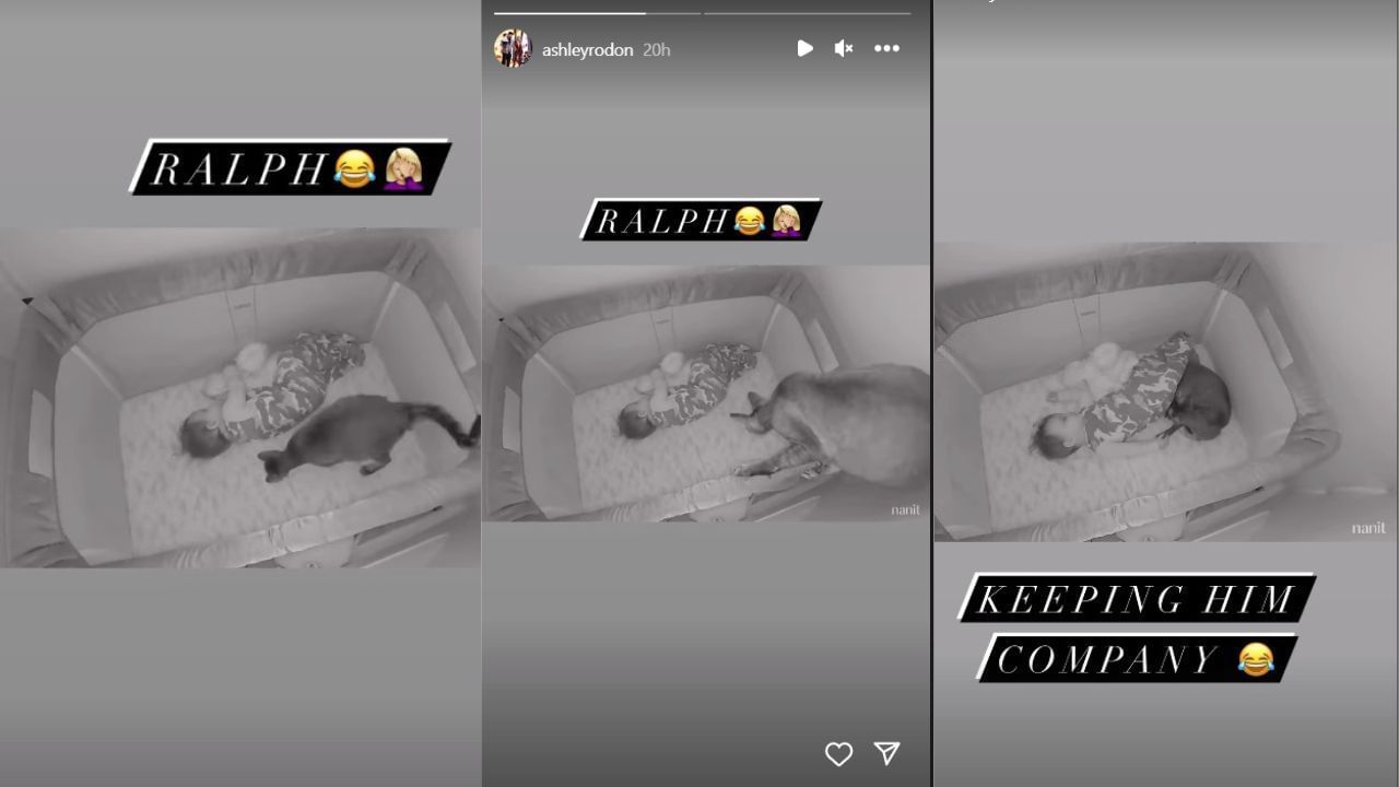 "Keeping him company" - Yankees star Carlos Rodon's wife Ashley shares ...