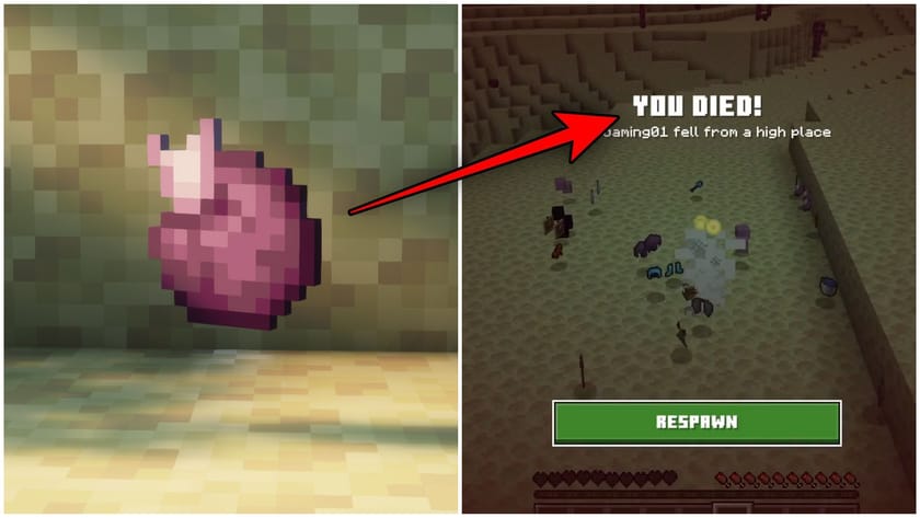 Minecraft player dies after teleporting with the help of chorus fruit