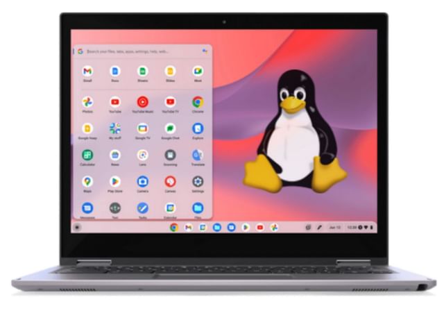How to Install Linux on Chromebooks?