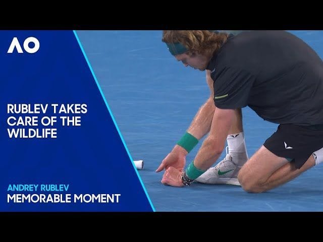 3 Instances when Australian Open 2024 matches were interrupted by bugs ...