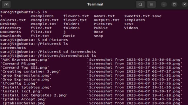 Essential Linux commands you should know in 2024