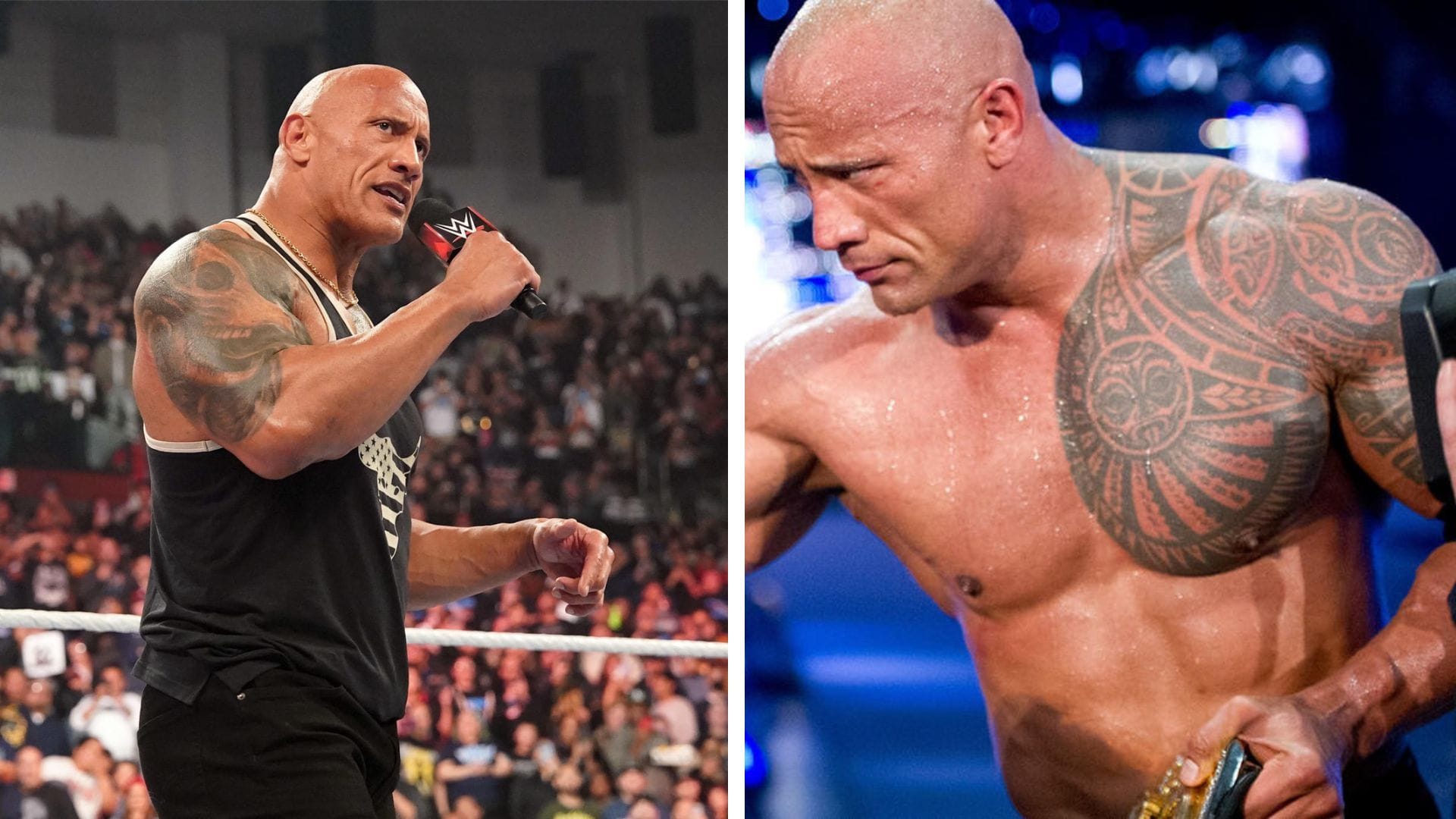 Did The Rock predict 41-year-old WWE star to rise to superstardom 10 ...