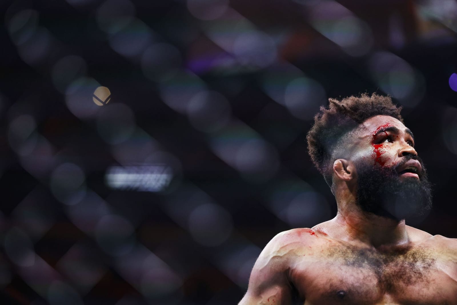 What kind of fighter is Chris Curtis?