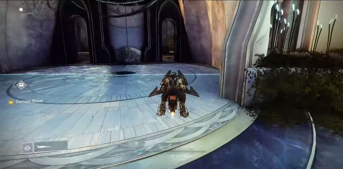 All Starcat locations guide for Destiny 2 Season of the Wish Familiar Felines triumph