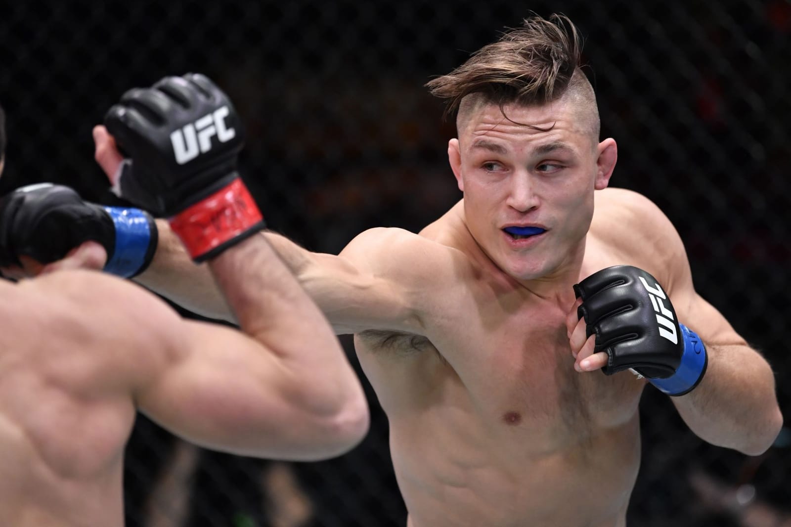 Drew Dober Stats, News, Bio & More