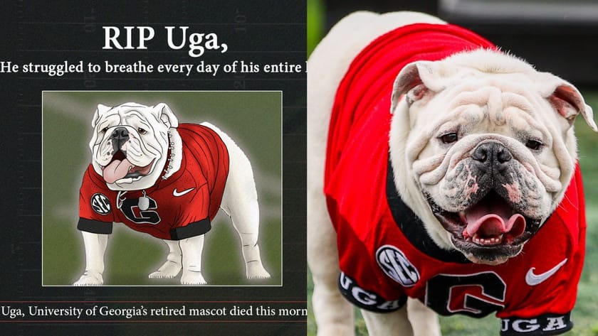 "This dog had a better life than 95% of humans": CFB fans blast PETA ...