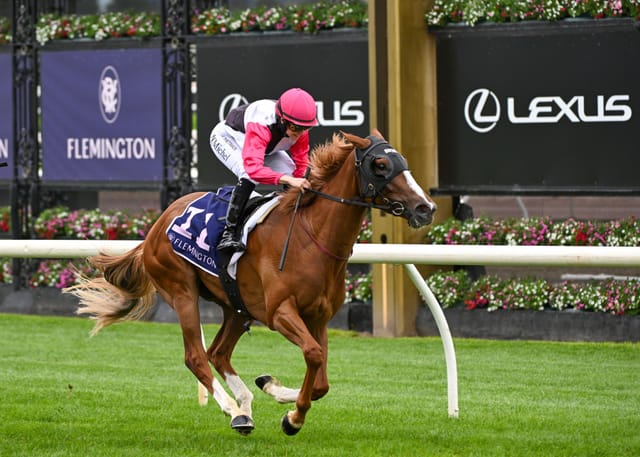 Best races: Horse Racing: 5 of the best horse races in the world