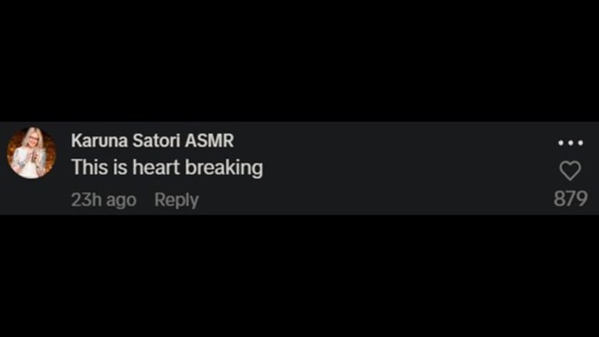 “This is heartbreaking”: Internet reacts to a pack of rats running out ...