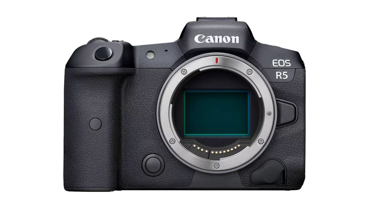 2024: 5 best Canon cameras in 2024