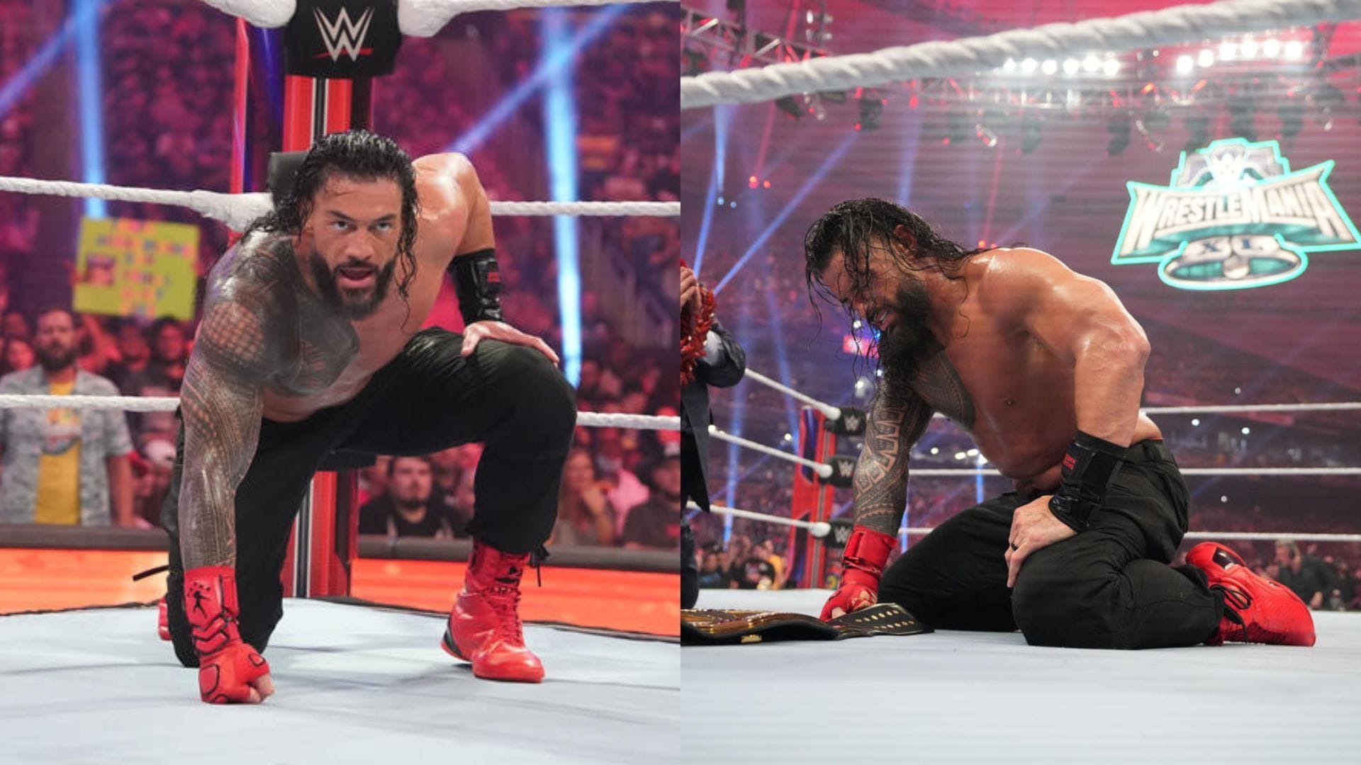 "He's scared", "Ghost from the past" - WWE Universe reacts to Roman ...