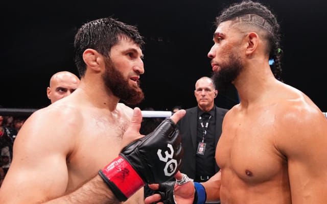 Unified Rules of Mixed Martial Arts: UFC rules dissected: An in-depth ...