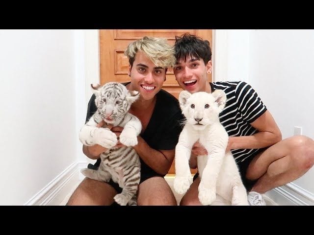 Darius Dobre's Profile, Net Worth, Age, Height, Relationships, FAQs