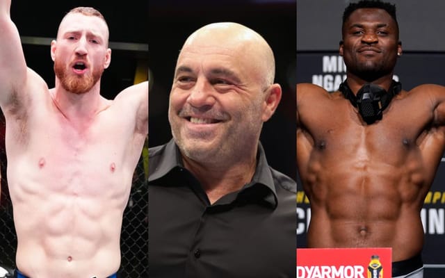 Joe Rogan talks Joe Pyfer punching harder than Francis Ngannou, fans ...