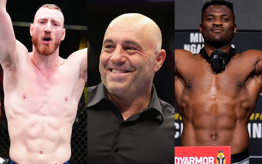 Joe Rogan talks Joe Pyfer punching harder than Francis Ngannou, fans ...