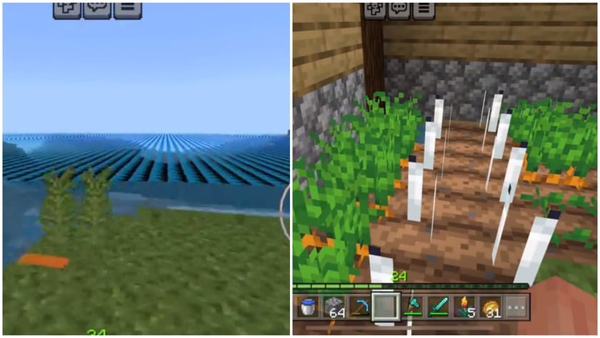 Minecraft player experiences weird texture glitch in Pocket Edition