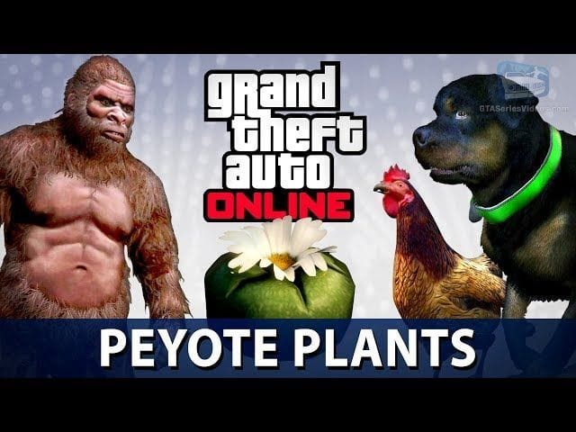 GTA 5 Online Pug location: Where to find it for Wildlife Photography?