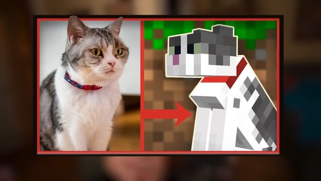 Popular Minecraft cat Jellie has passed away, fans send out heartfelt ...