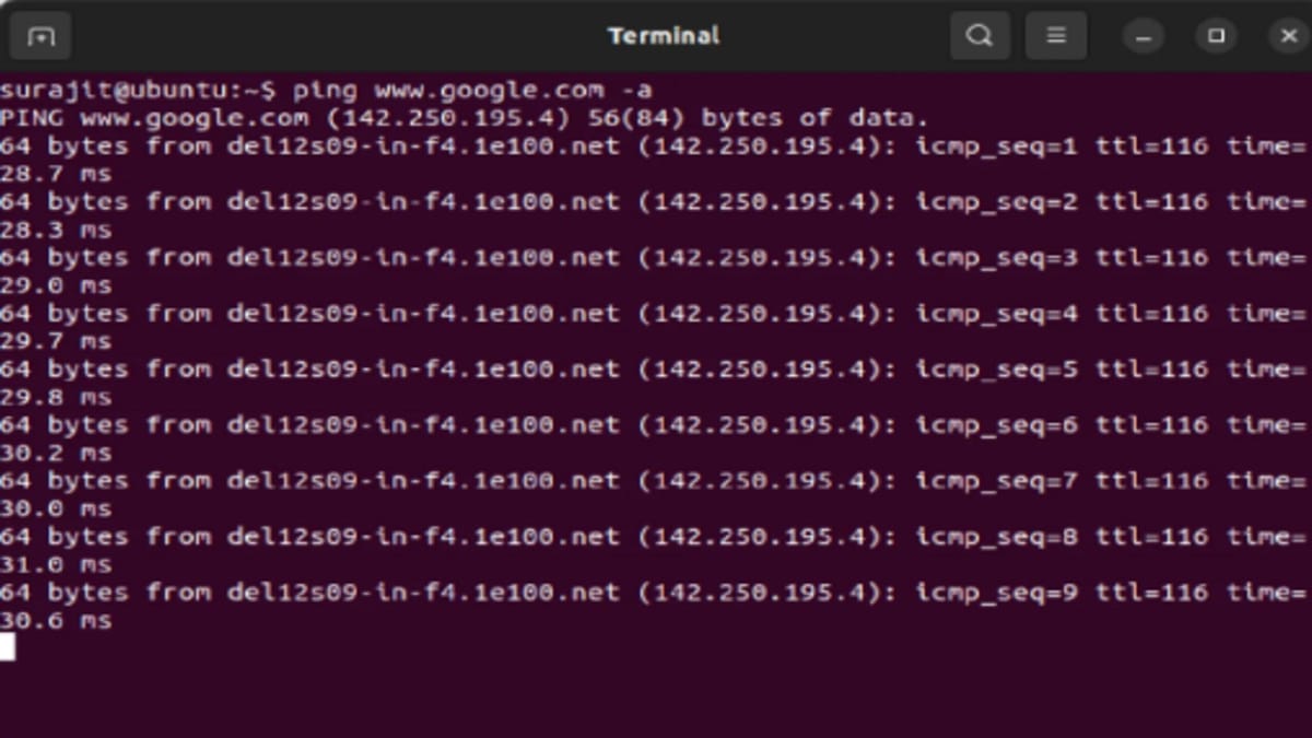 Essential Linux commands you should know in 2024