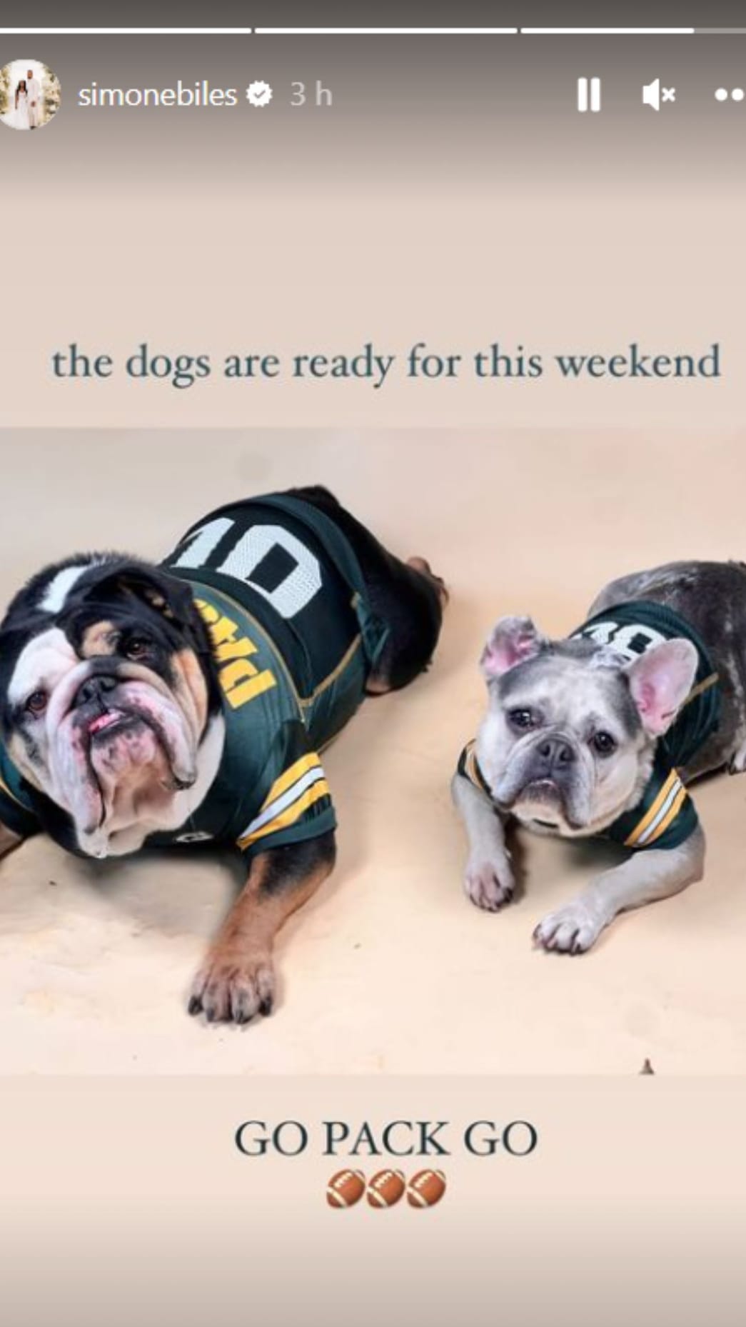 Simone Biles shares picture of dogs wearing Green Bay Packers colors ...