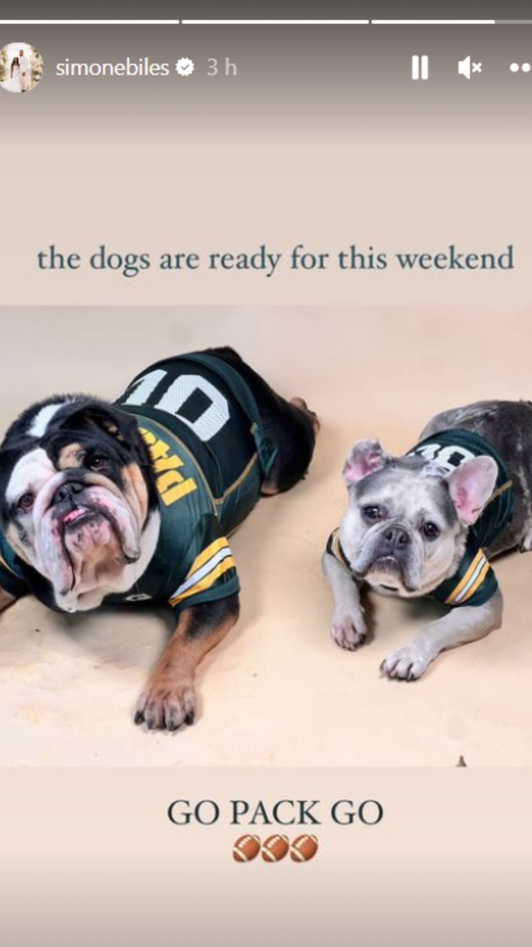 Simone Biles shares picture of dogs wearing Green Bay Packers colors ...