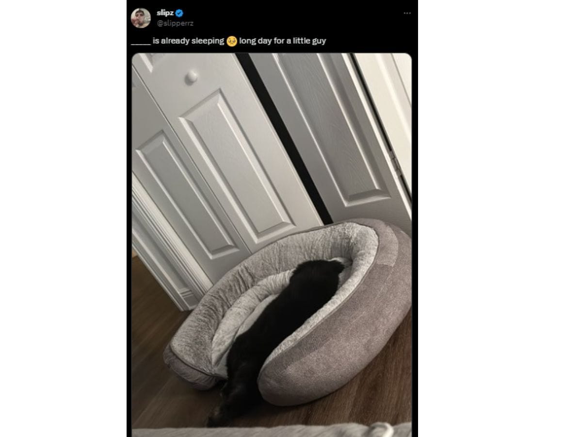 "Has Speed ever been funny?" - Netizens divided after IShowSpeed ...