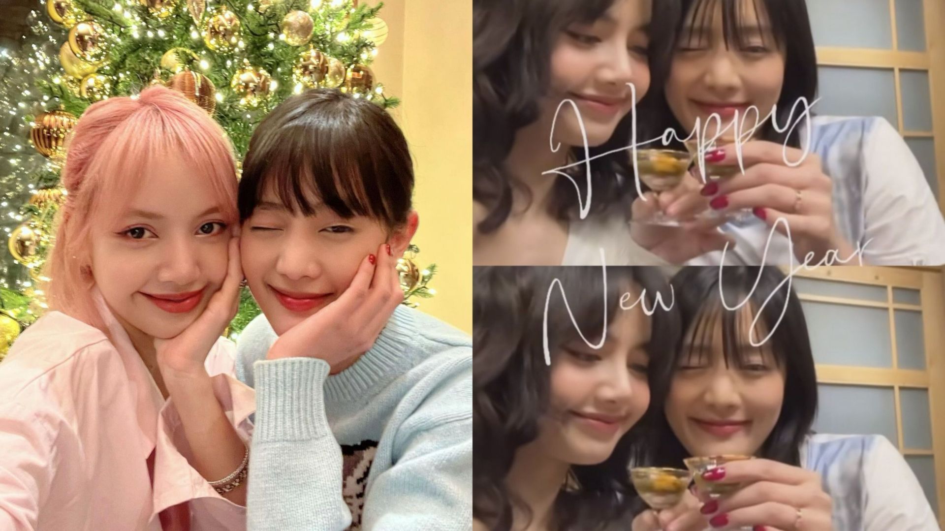 "I'm just happy that they are free": Fans go wild over interaction ...