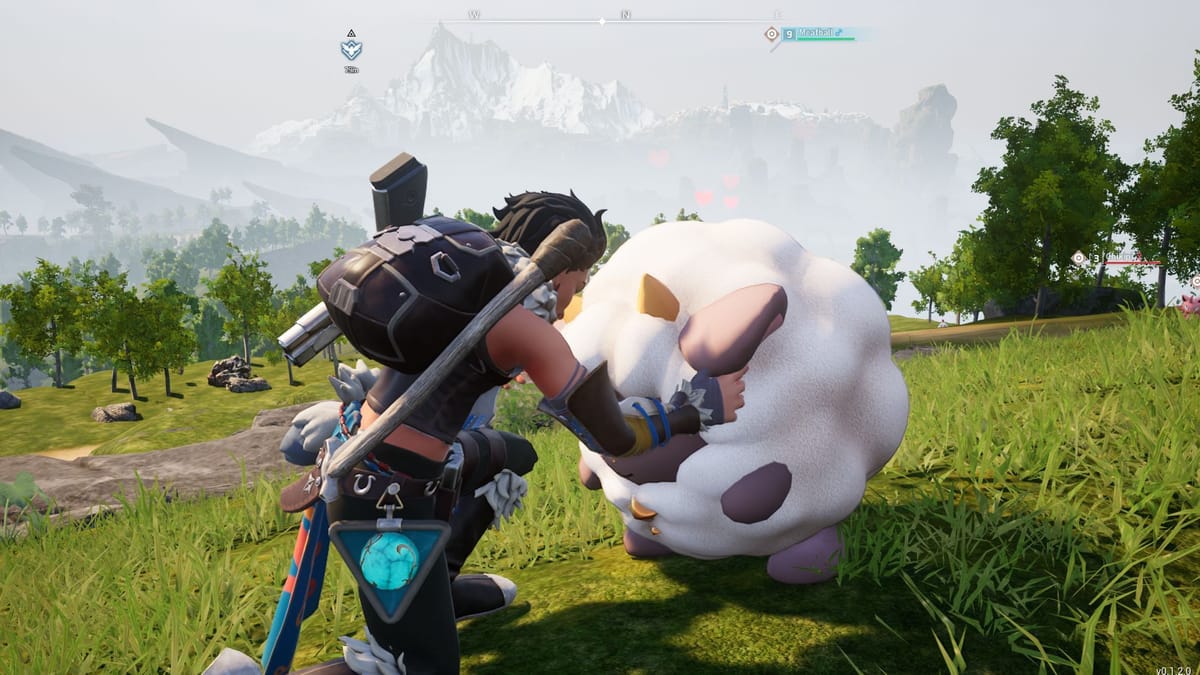 How to get Cloth in Palworld