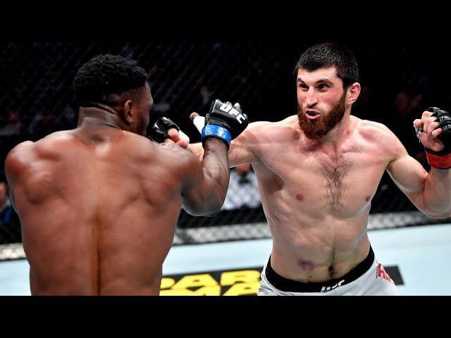Who is Magomed Ankalaev? MMA record, personal life, and everything you ...