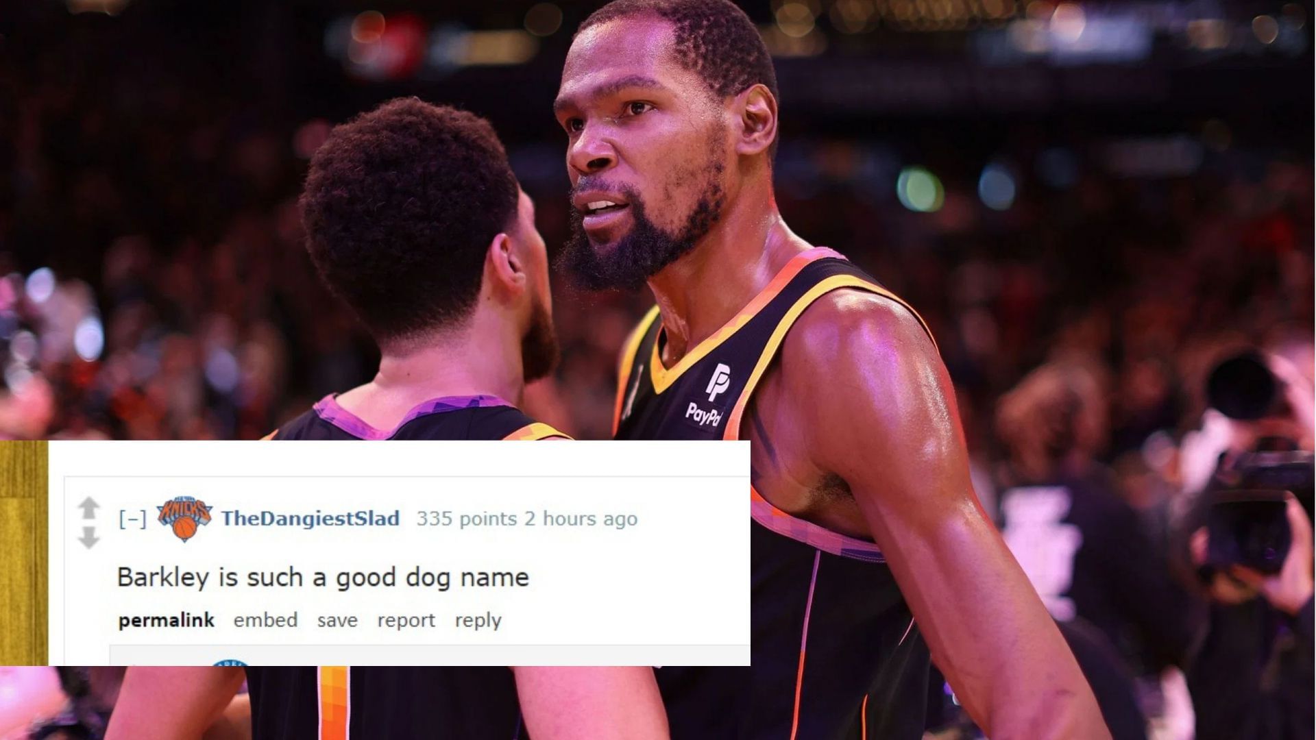 Phoenix Suns' 22-point comeback after dog pissing on court tickles NBA ...