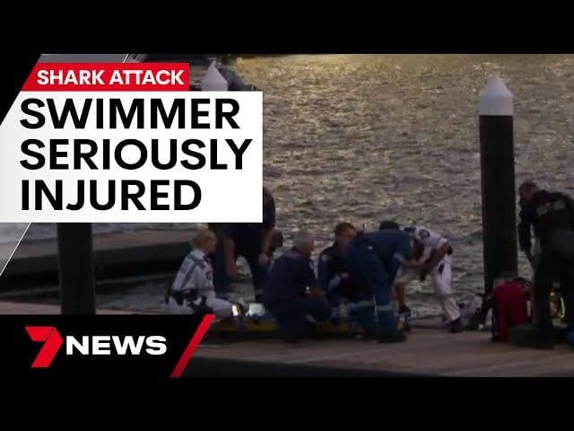 shark attack: Where in Sydney Harbour did the recent shark attack take ...