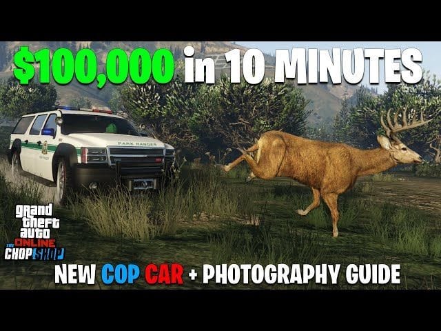 How to enter the GTA Online Wildlife Photography Challenge?