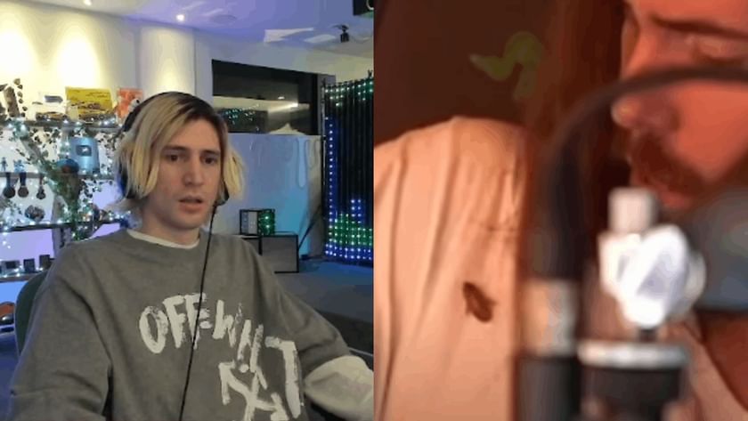 "Why's he holding it": xQc shocked after watching Asmongold handle a ...