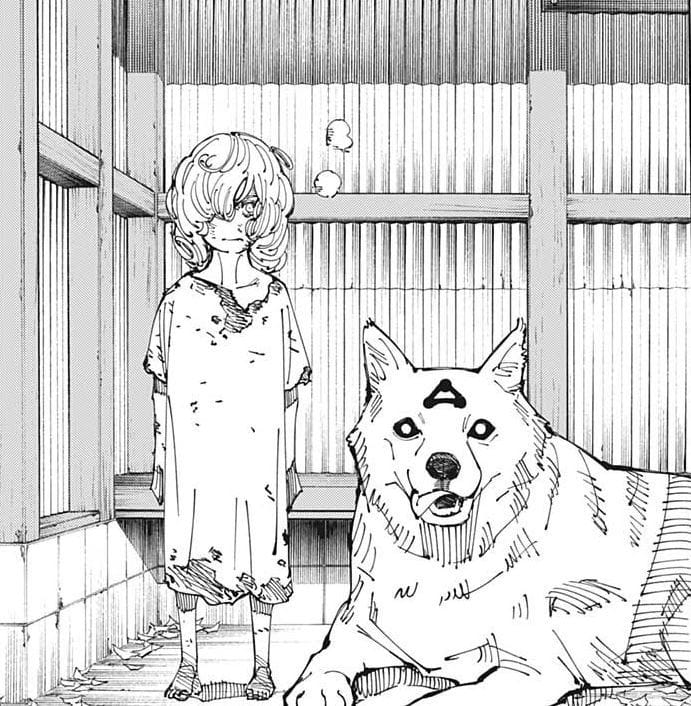 Who is Hana Kurusu in Jujutsu Kaisen?