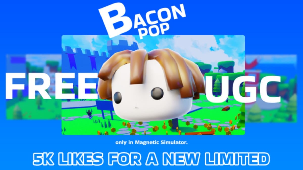 Magnetic Simulator Codes (2024)