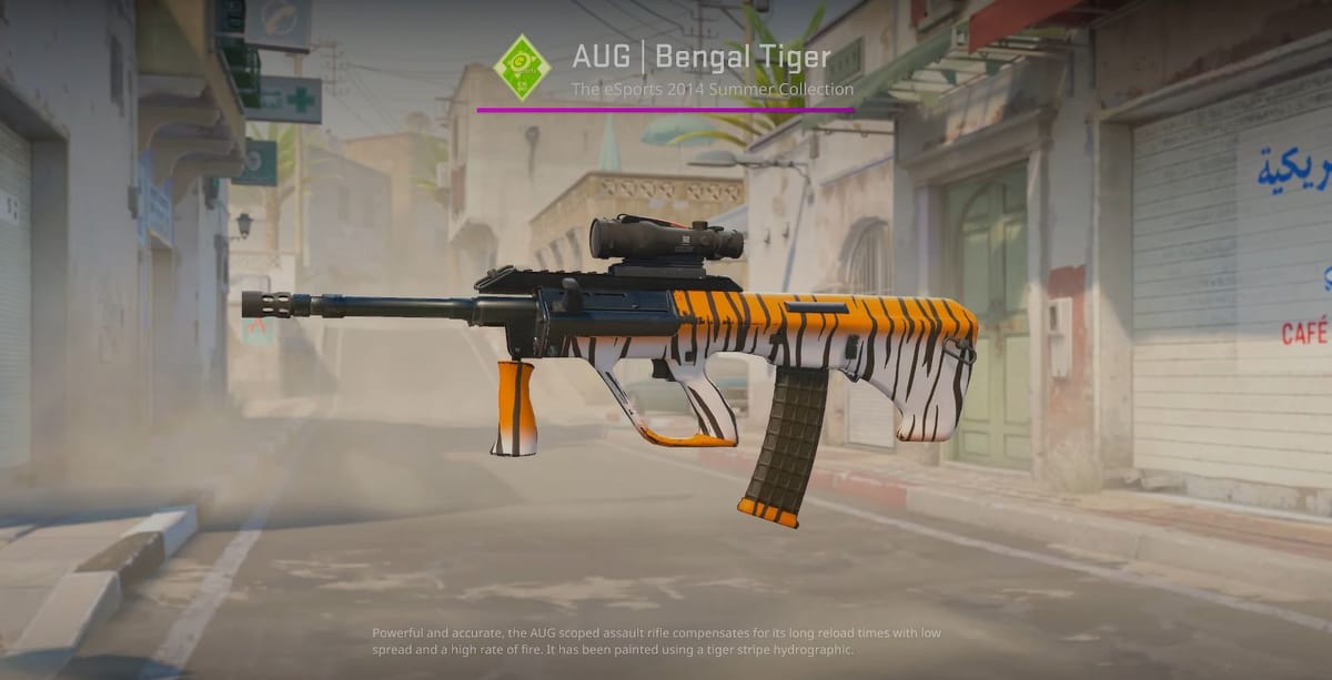 10 best AUG skins in Counter-Strike 2 (CS2)