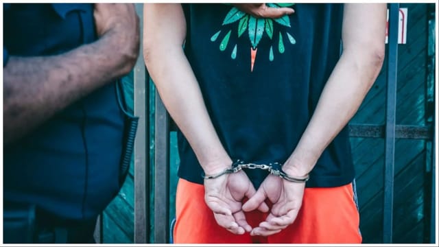 What did Alan Filion do? Charges against 17-year-old alleged 'serial ...