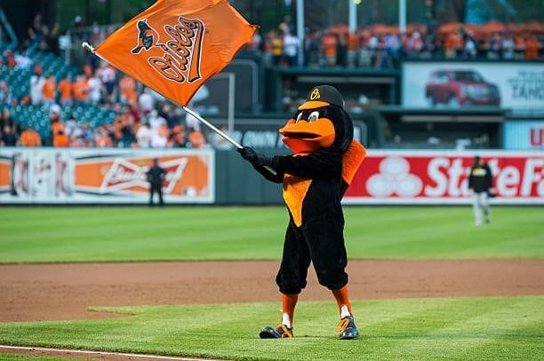 Baltimore Orioles Mascot - The Oriole Bird's History, Funny Incidents ...