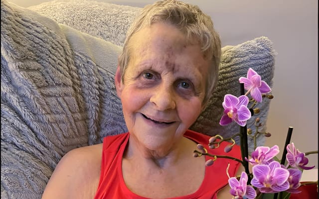 Wendy Mitchell: Wendy Mitchell blog: Author's dementia battle explored ...