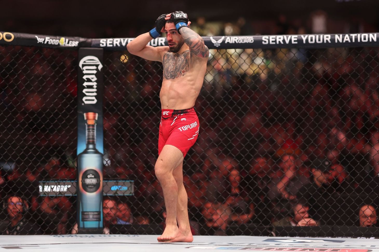 UFC Featherweight Champion | UFC Featherweight Rankings - 2024