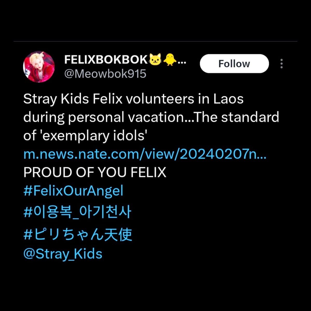 “The standard of exemplary idols”: Fans proud as Stray Kids’ Felix ...