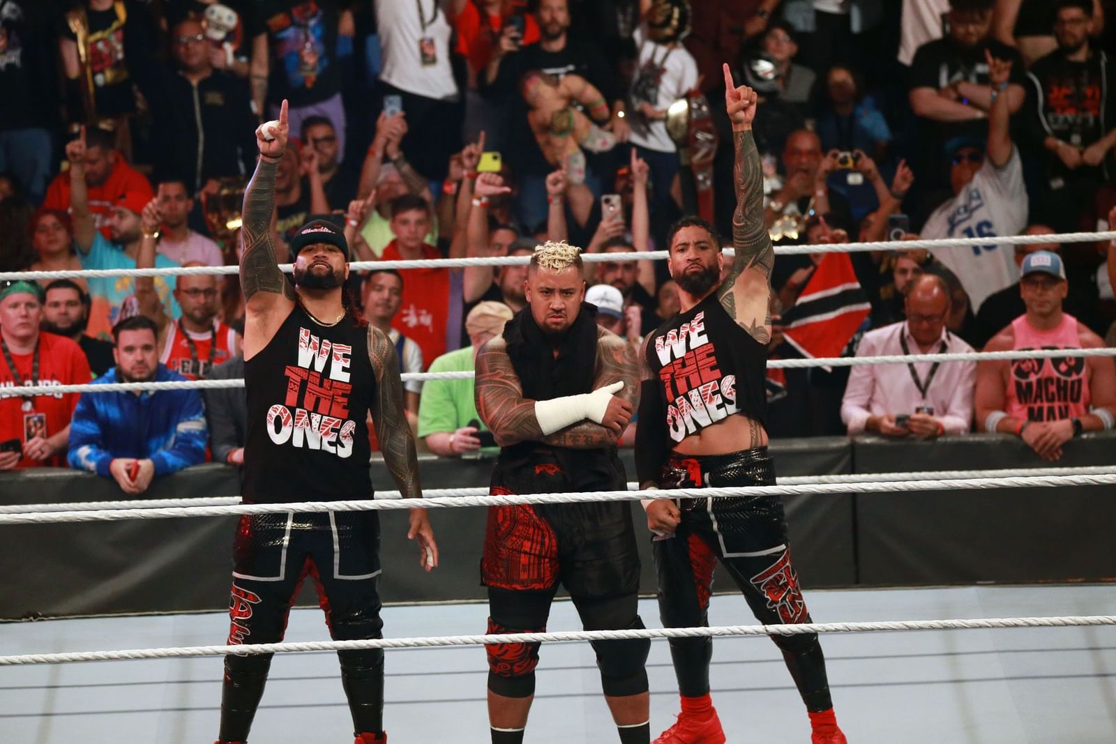 The Bloodline WWE | News, Rumors & Biography | Sportskeeda WWE