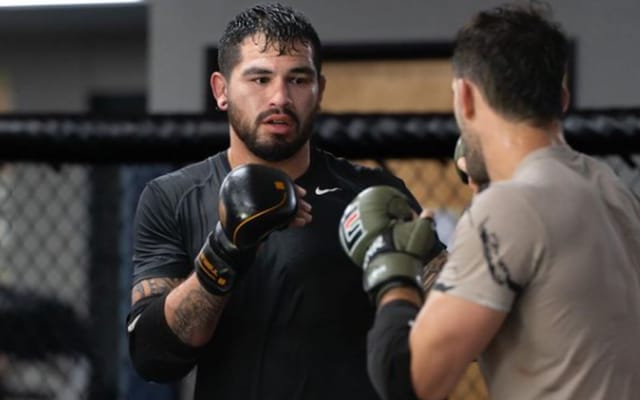 Anthony Hernandez Net Worth