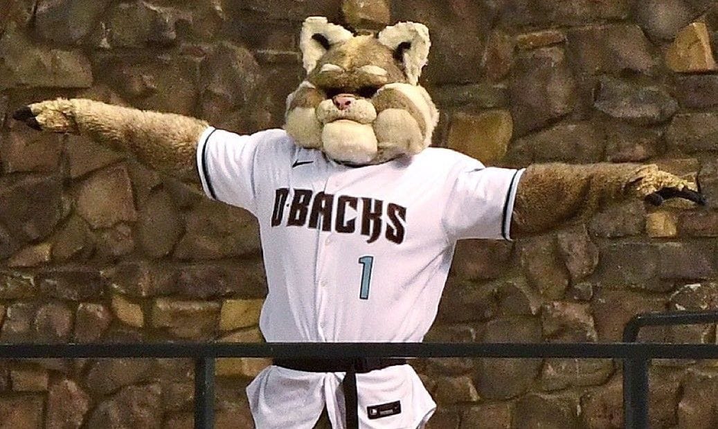 Arizona Diamondbacks Mascot - The Oriole Bird's History, Funny ...