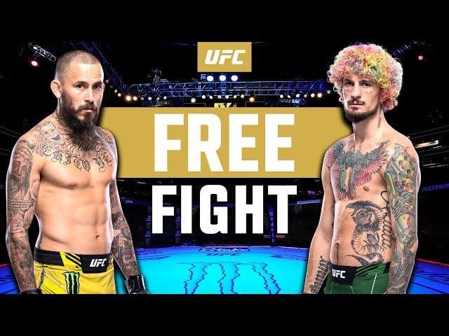 5 best UFC fights to look forward to in March 2024