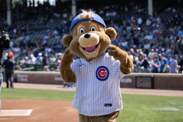 Chicago Cubs Mascot - The Oriole Bird's History, Funny Incidents, and More