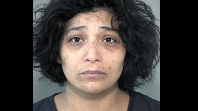 “She tried to run us over”: Neighbors of Genesse Ivonne Moreno recount ...