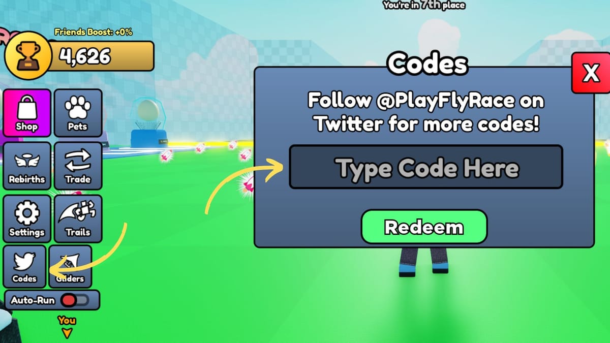 Fly Race Codes (2024)