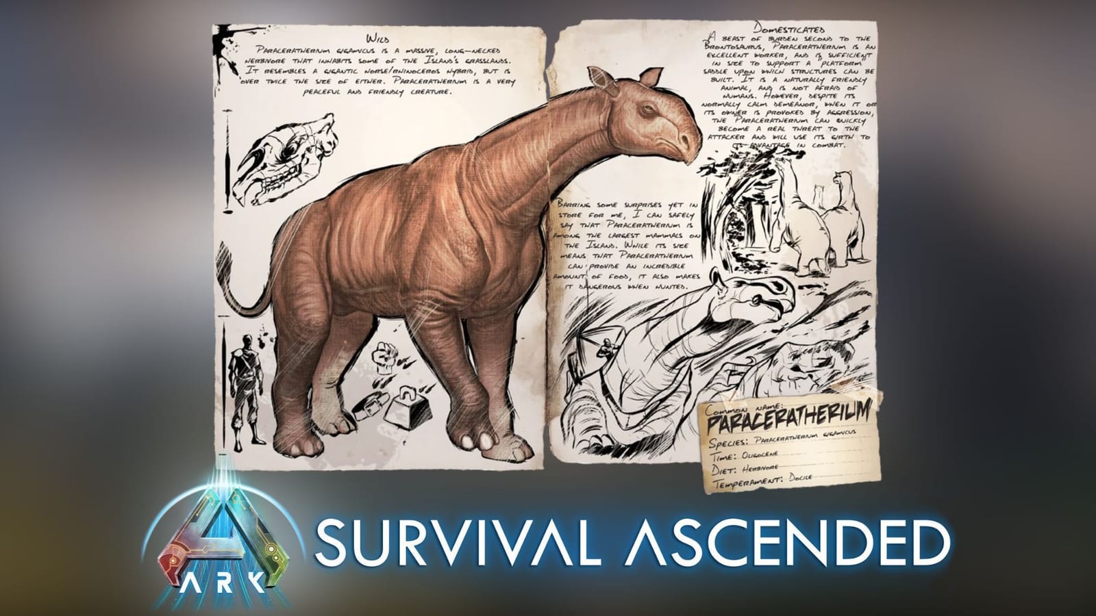 ARK Survival Ascended Paraceratherium taming guide