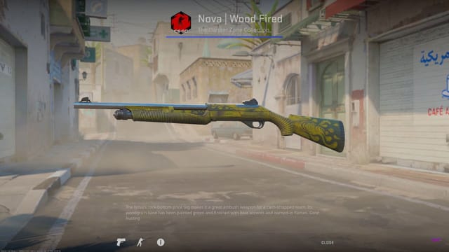 7 best Nova skins in Counter-Strike 2 (CS2) under $10