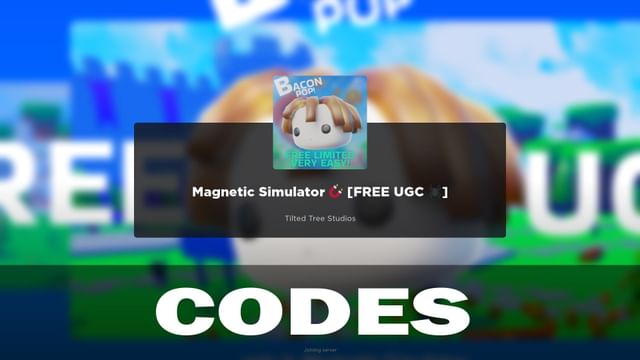 Magnetic Simulator Codes (2024)